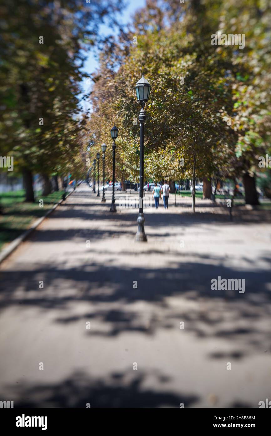 The elegant Parque Forestal park with autumn leaves trees in Santiago ...