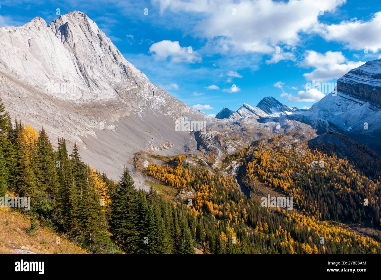 Scenic Autumn Colour Change Golden Larch Trees Valley Landscape. Hiking ...