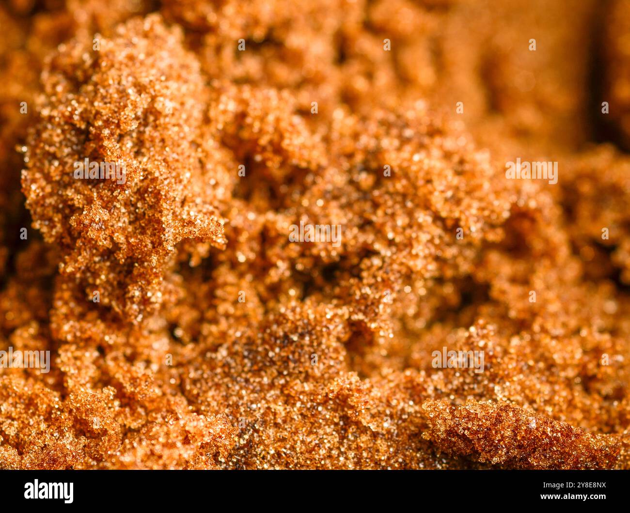 Close-up macro,almost abstract details of the fresh,sweet and sticky ...