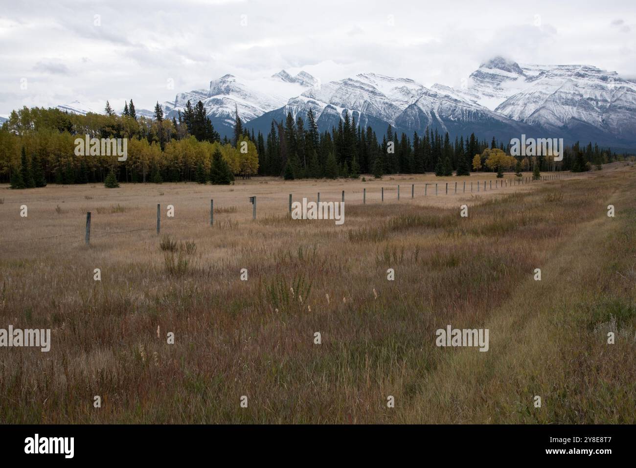 Canadian Rocky Mountains in Alberta in Canada viewed from David ...