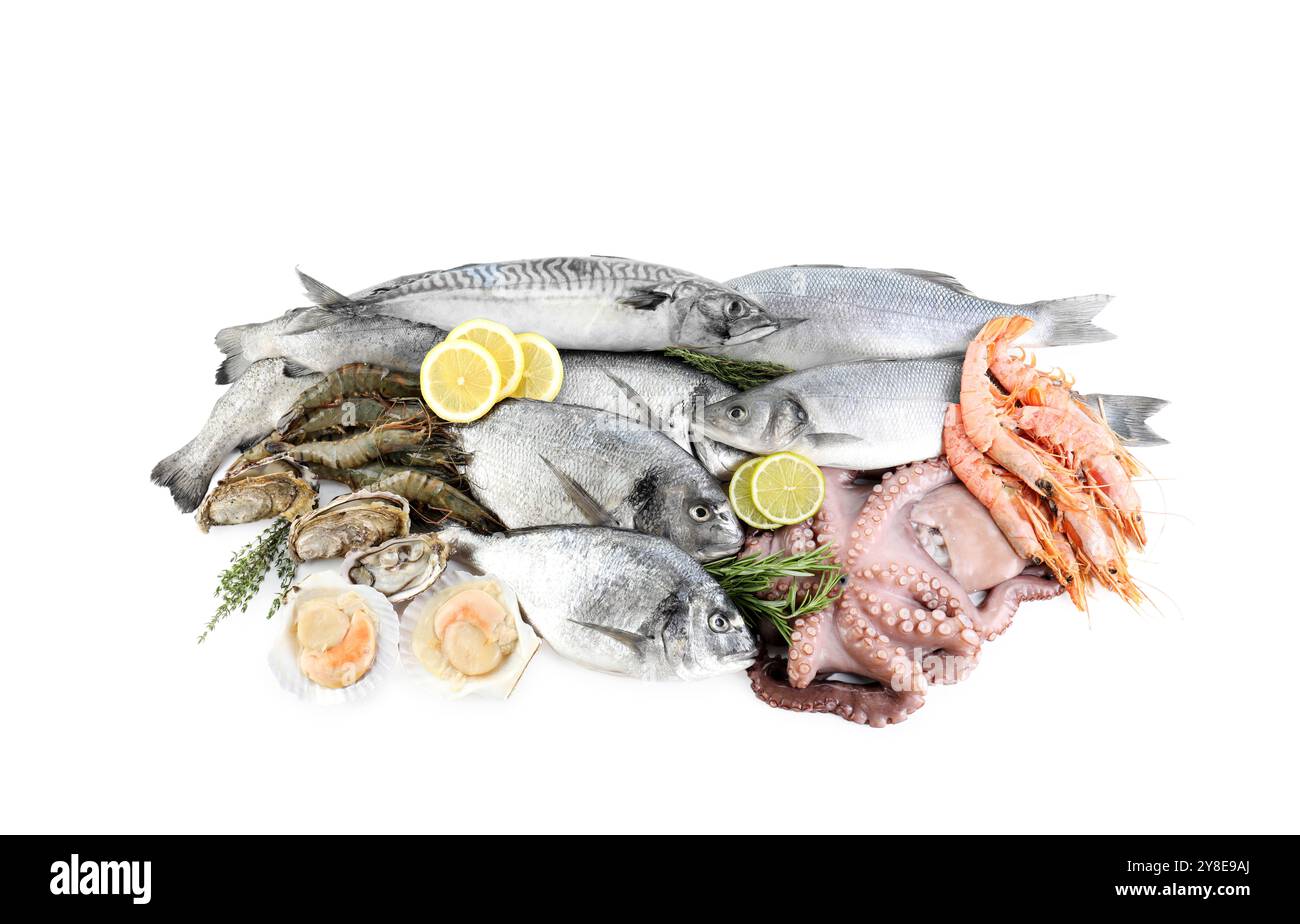 Fresh fish and different sea food isolated on white, top view Stock ...