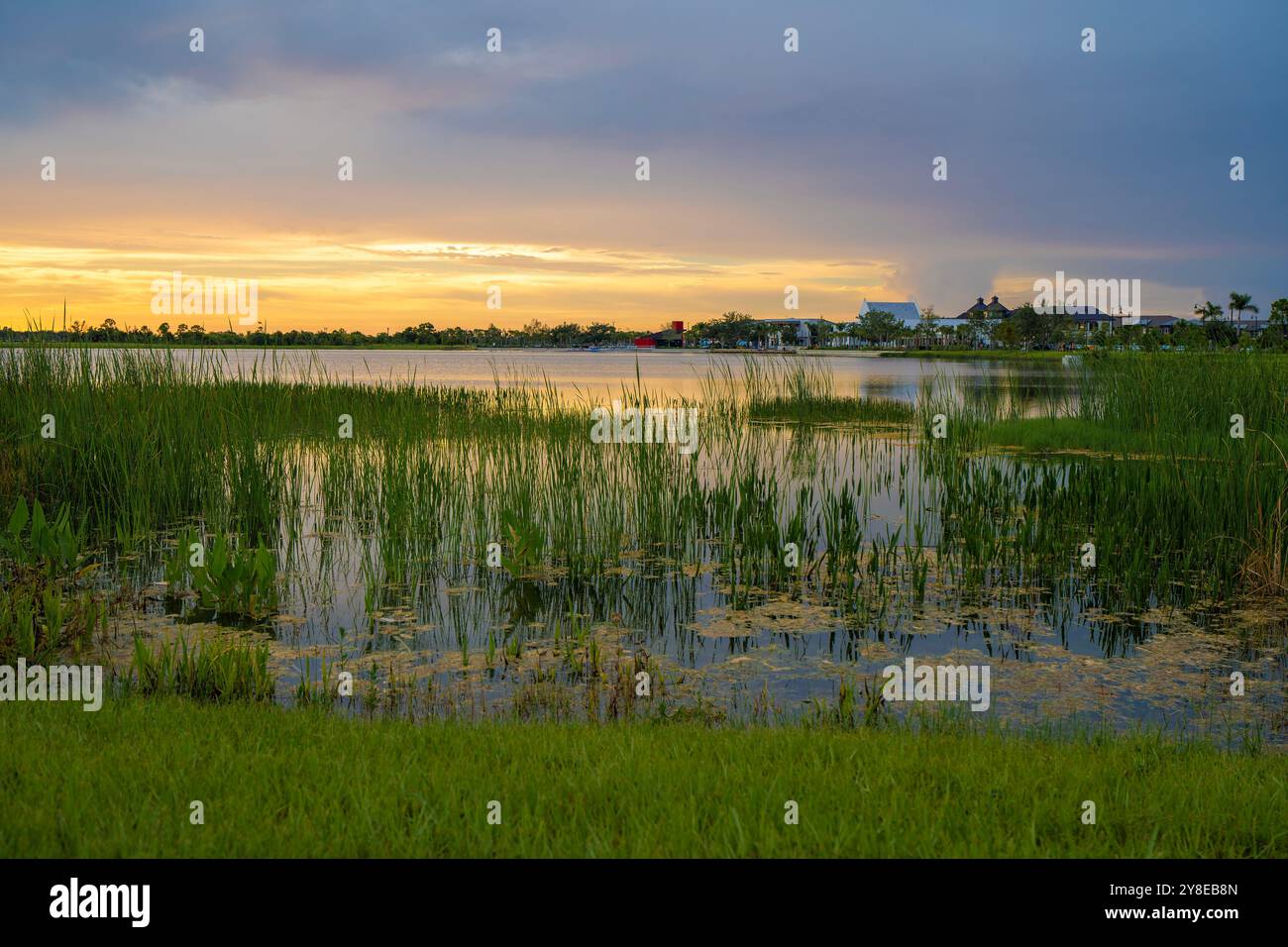 Beautiful nature landscape at sunset. Lake wildlife in Wellen park in ...