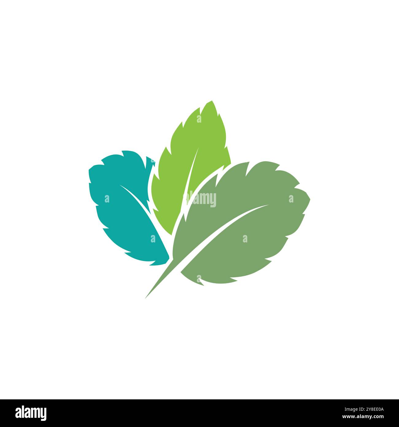 Mint leaf logo vector template symbol design Stock Vector Image & Art ...
