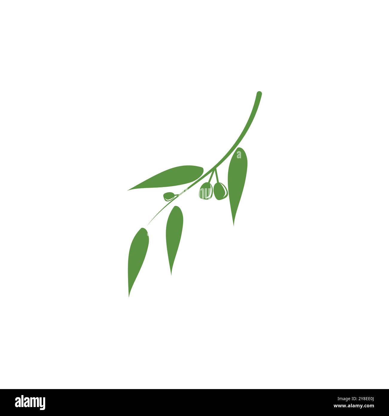 Eucalyptus leaves logo vector template design illustration Stock Vector ...