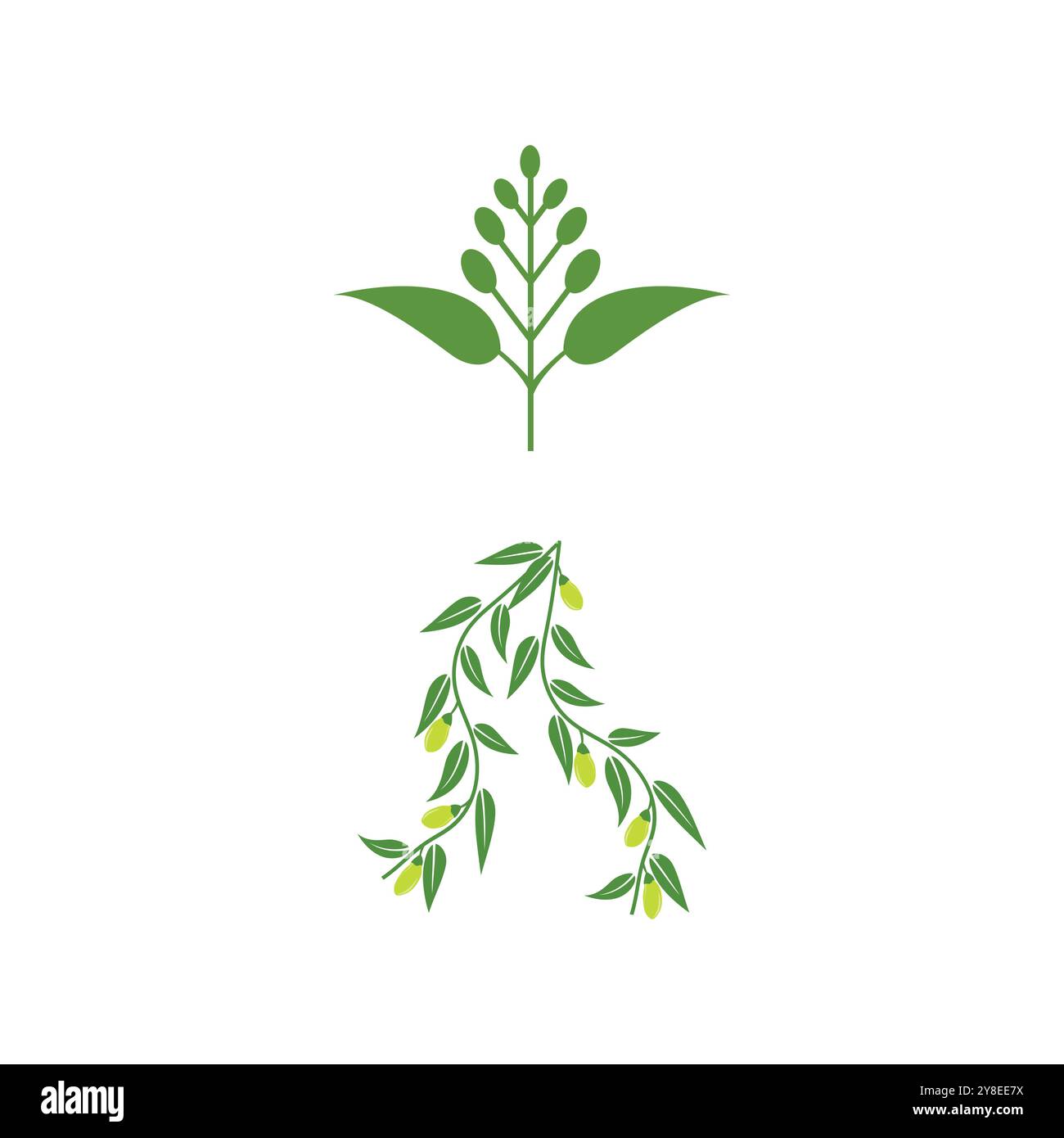 Eucalyptus leaves logo vector template design illustration Stock Vector ...