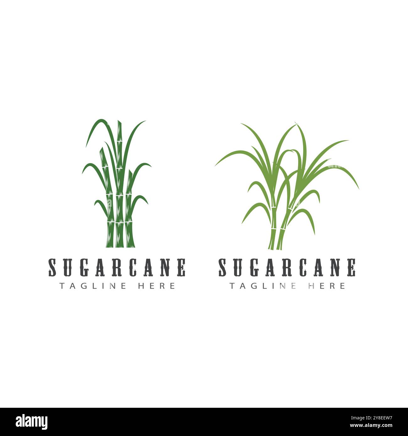 Sugarcane logo vector template symbol design Stock Vector Image & Art ...
