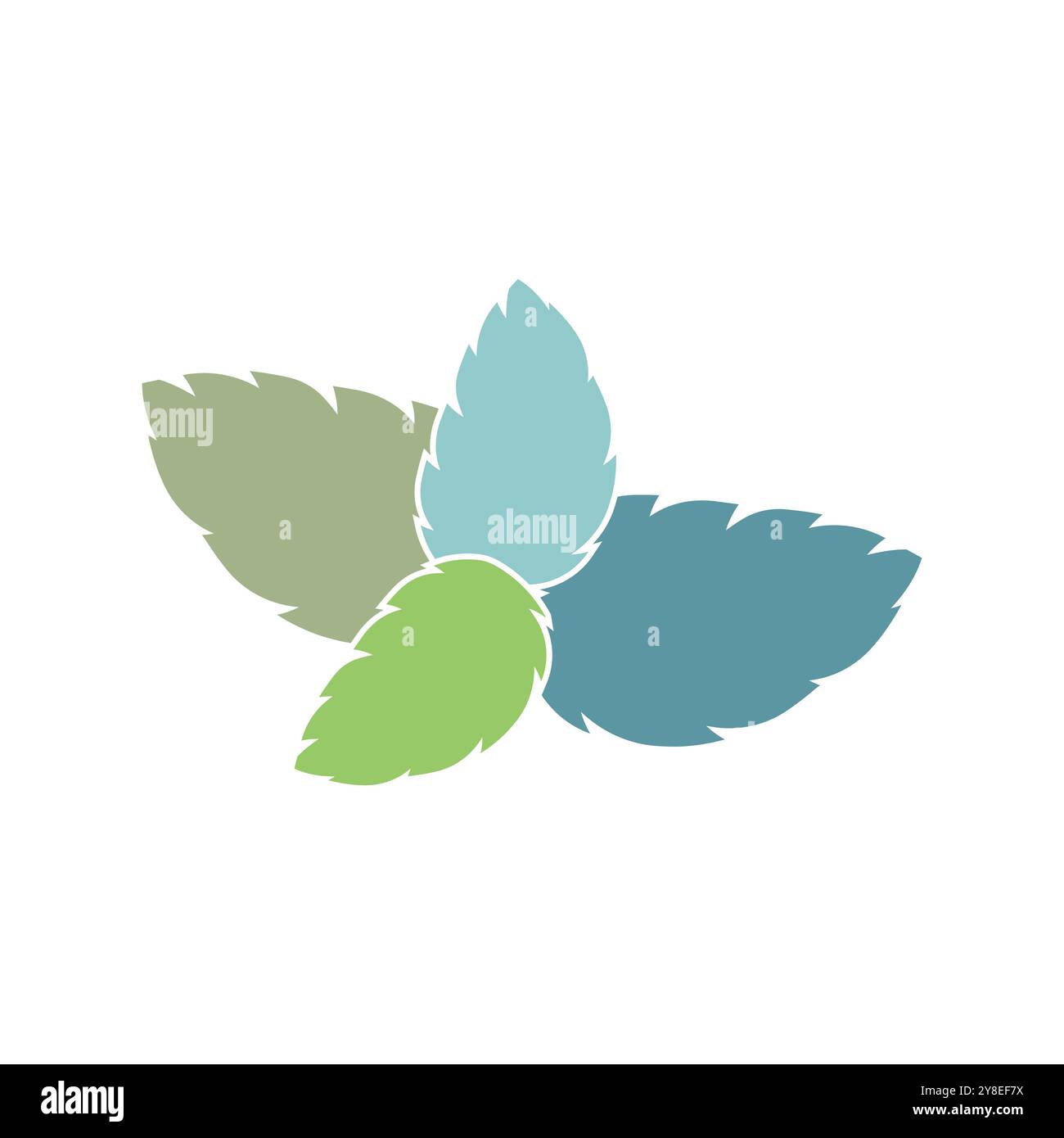 Mint leaf logo vector template symbol design Stock Vector Image & Art ...
