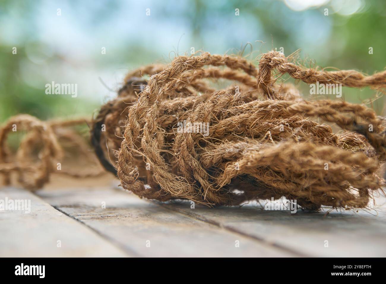 coconut coir fiber rope on table top in close-up view, natural eco ...