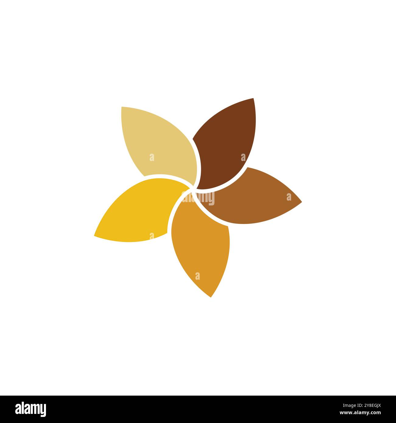 Flower plumeria logo vector element symbol design Stock Vector Image ...