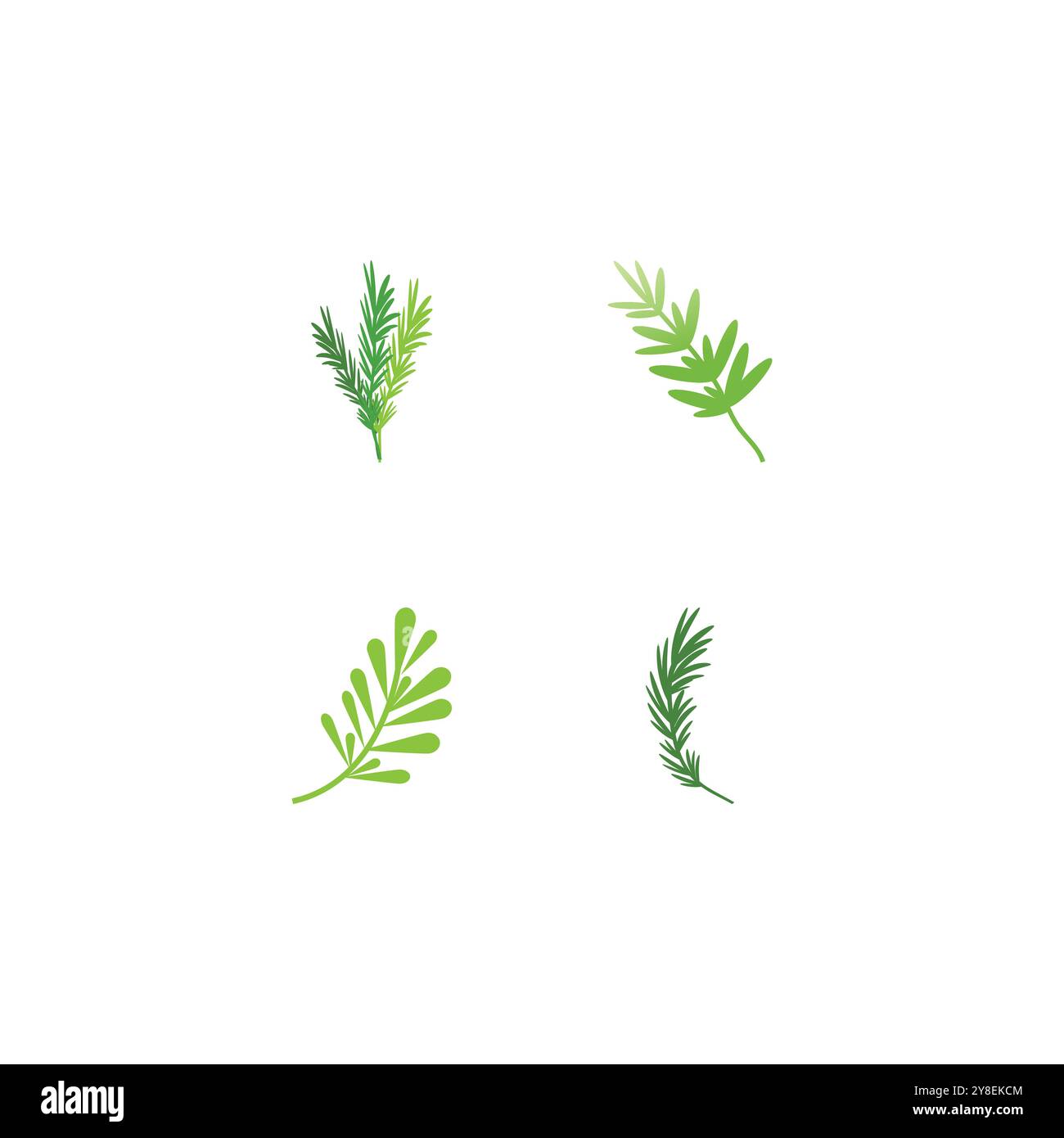 Rosemary logo vector illustration template business element and symbol ...