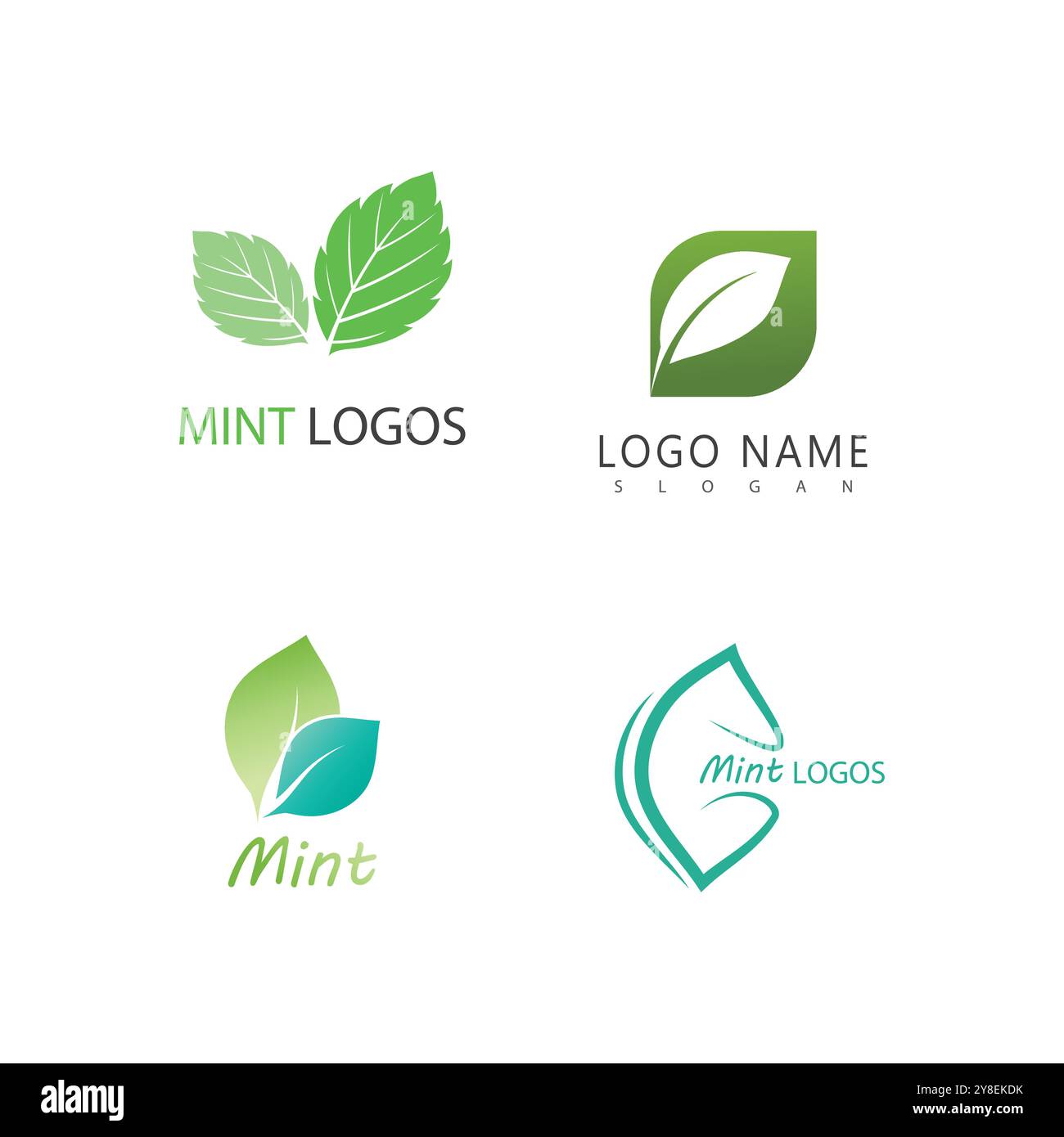 Mint leaf logo vector element template and symbol Stock Vector Image ...