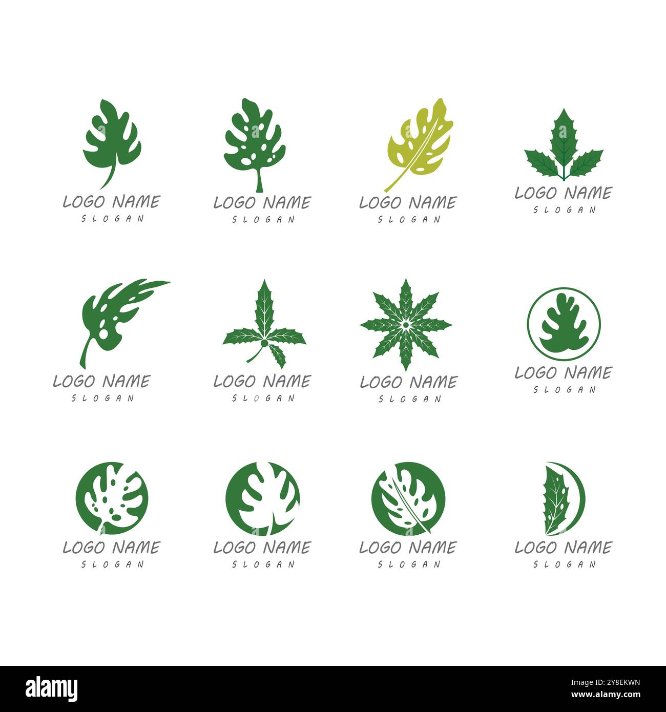 Monstera leaf logo vector design Stock Vector Image & Art - Alamy
