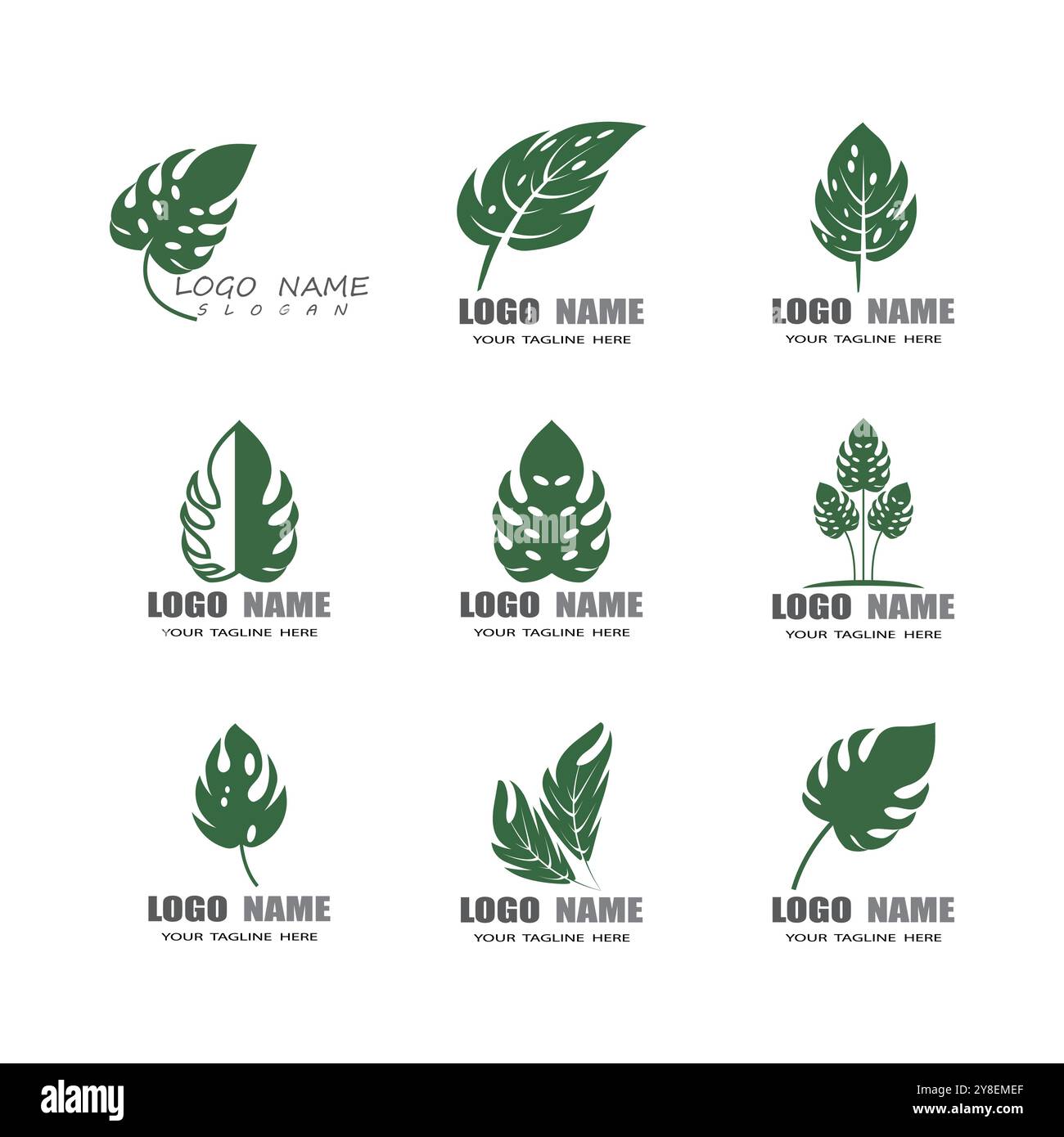 Monstera leaf logo vector design Stock Vector Image & Art - Alamy