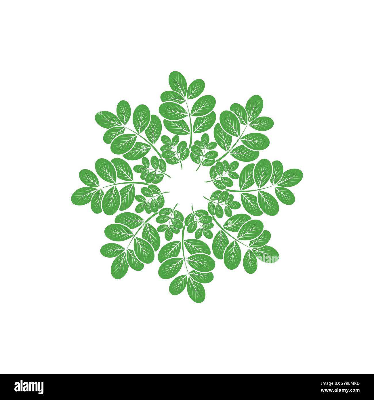 Moringa logo vector template symbol nature Stock Vector Image & Art - Alamy