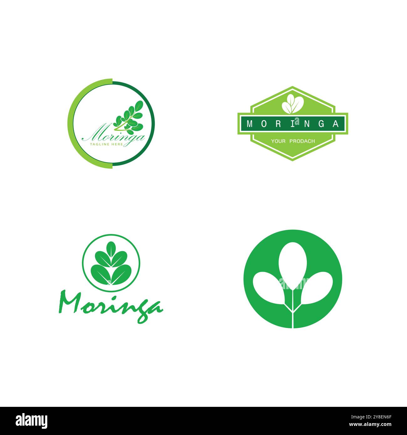 Moringa logo vector template symbol nature Stock Vector Image & Art - Alamy