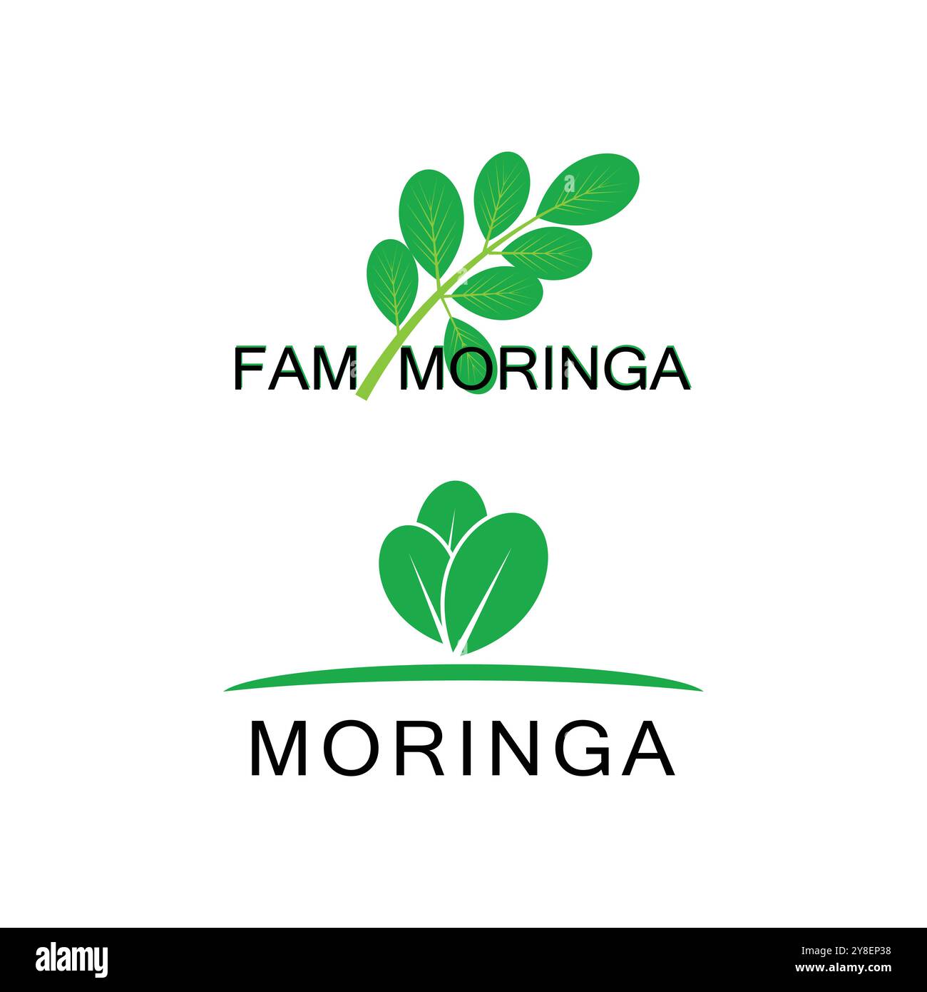 Moringa logo vector template symbol nature Stock Vector Image & Art - Alamy