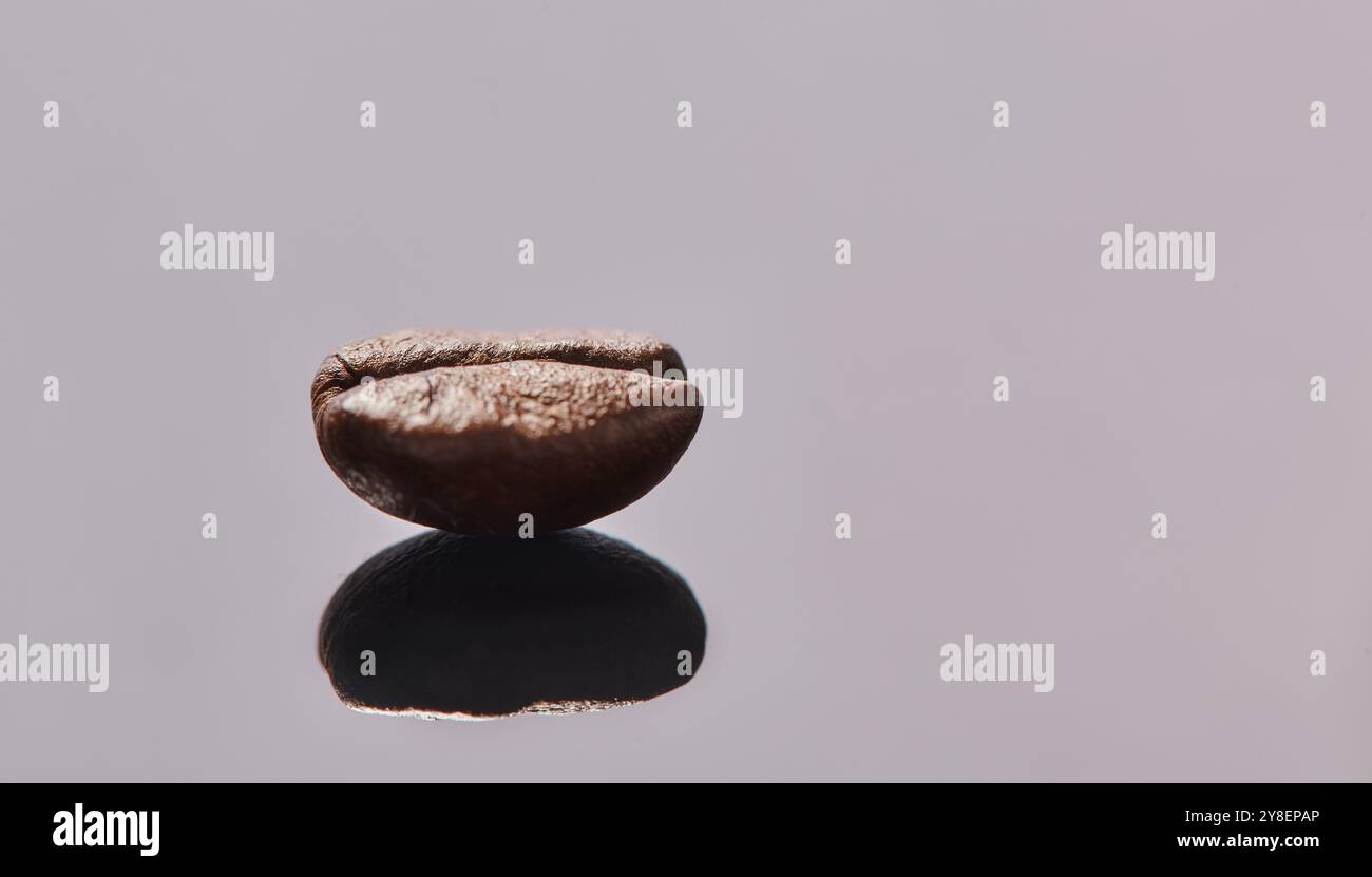 Studio, space and fresh coffee bean on counter with mockup, reflection ...