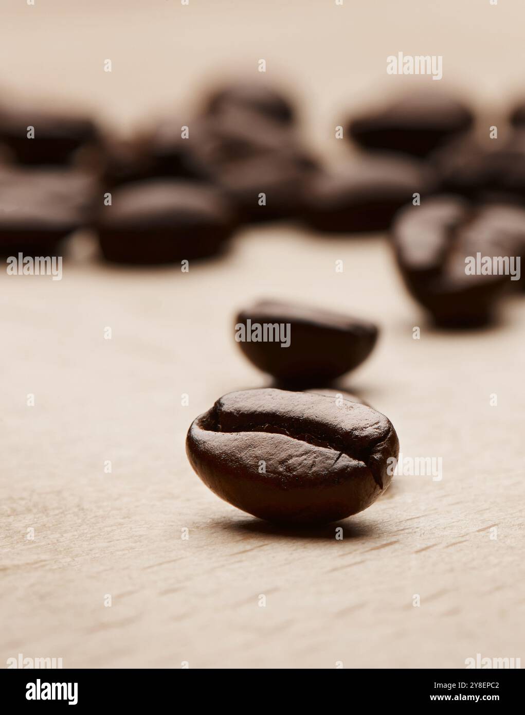 Table, collection and coffee beans with flavor for cafe, bistro and ...