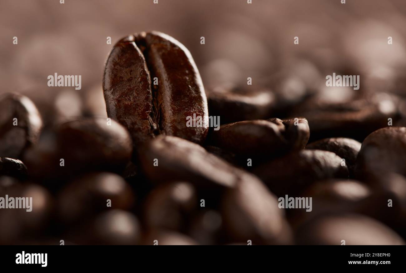 Closeup, texture and organic coffee beans for production, latte and ...