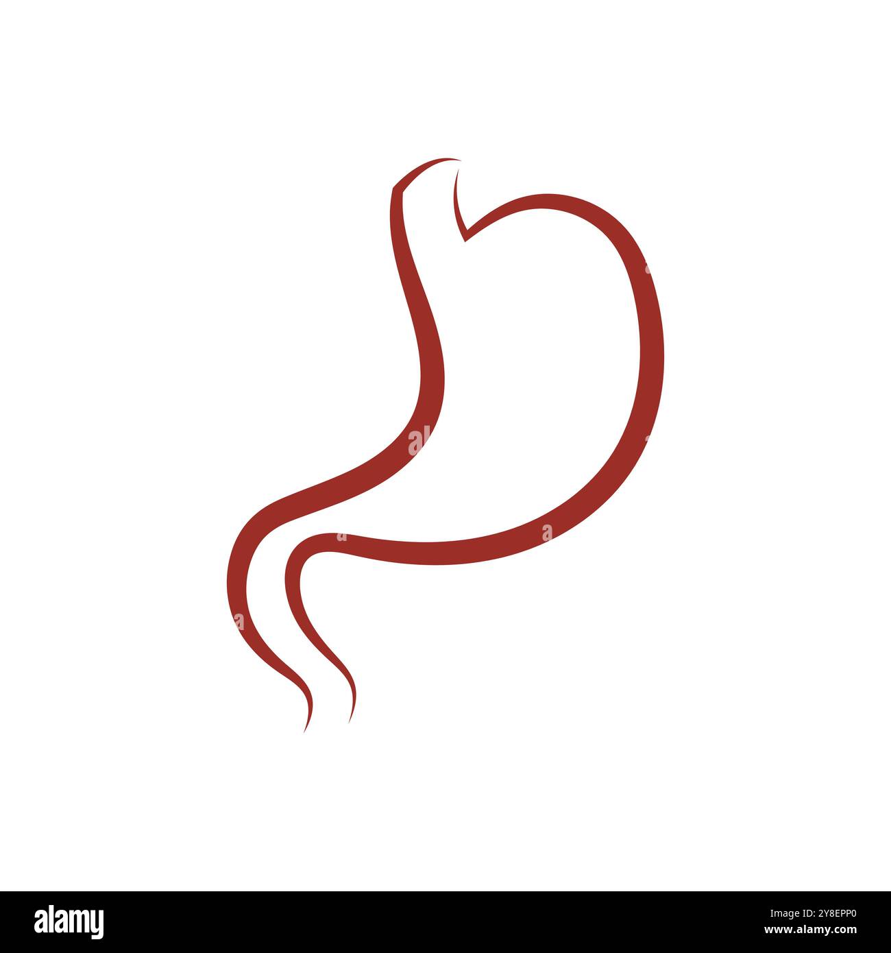 Stomach logo icon illustration vector flat and symbol design Stock ...