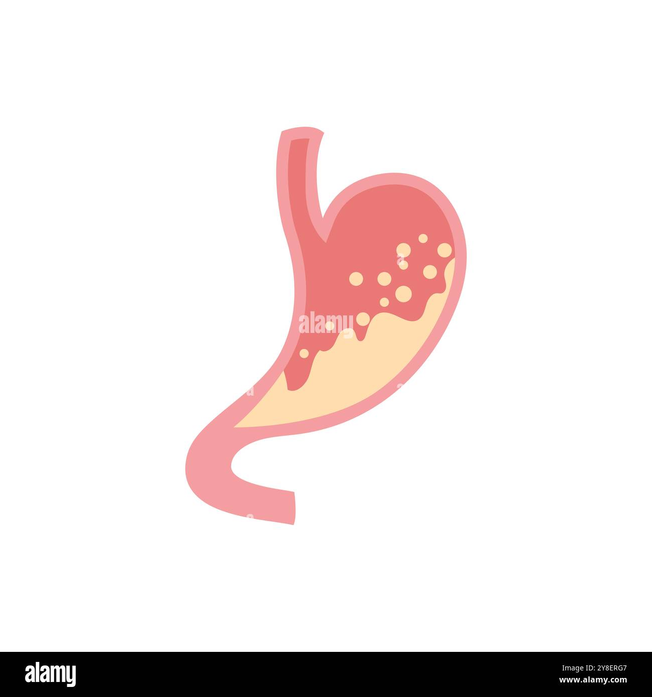 Stomach logo icon illustration vector flat and symbol design Stock ...