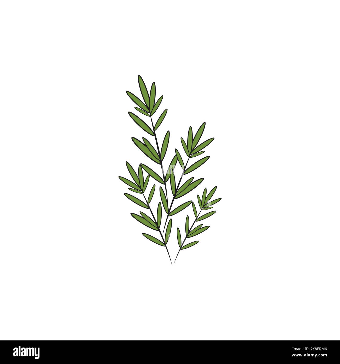 Rosemary logo vector illustration template business element and symbol ...