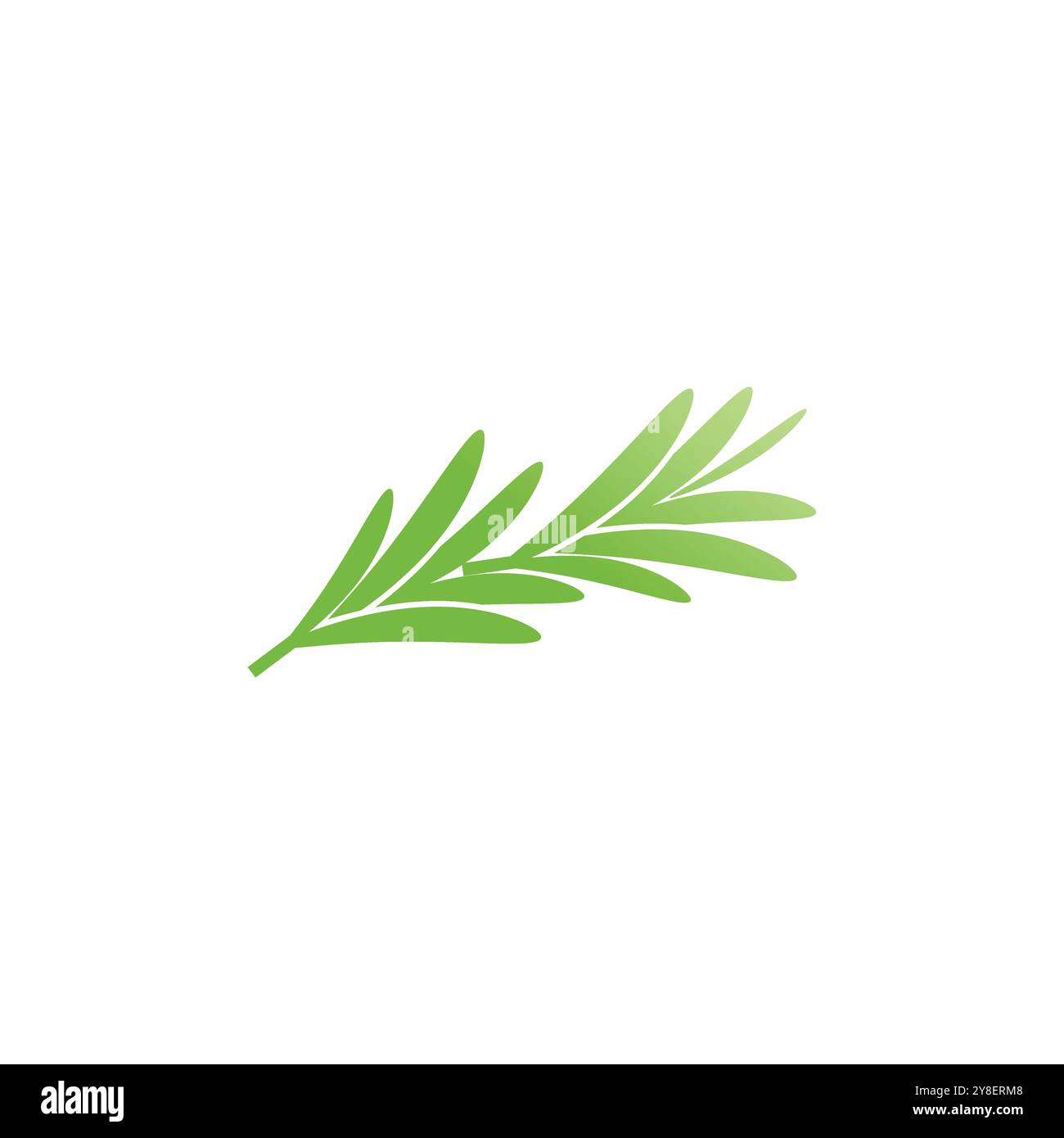 Rosemary logo vector illustration template business element and symbol ...