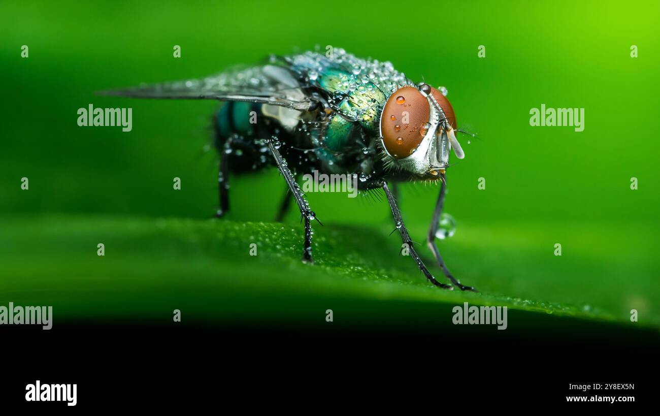 No common carrier hi-res stock photography and images - Alamy