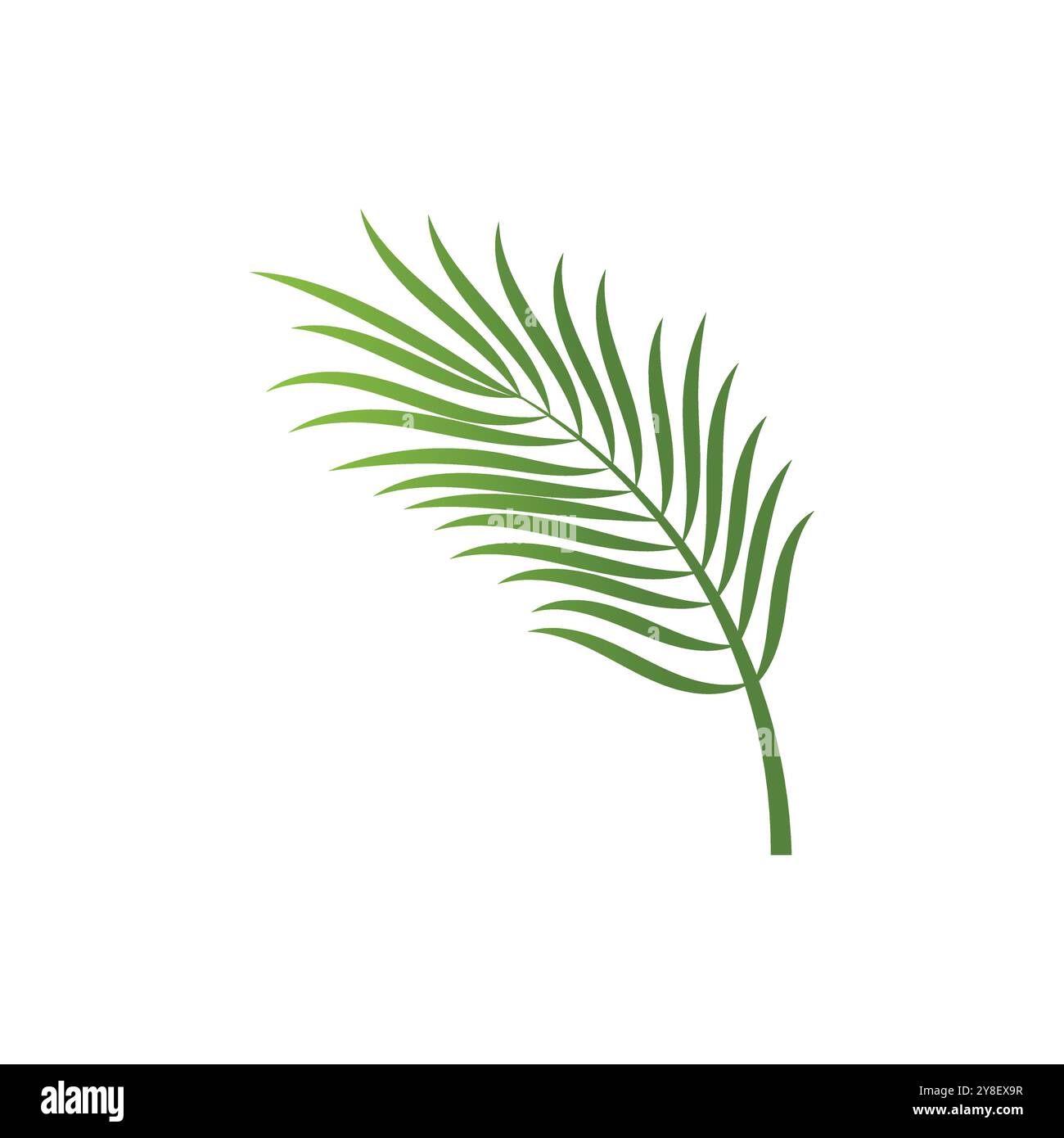 Leaf palm logo vector template symbol and design Stock Vector Image ...