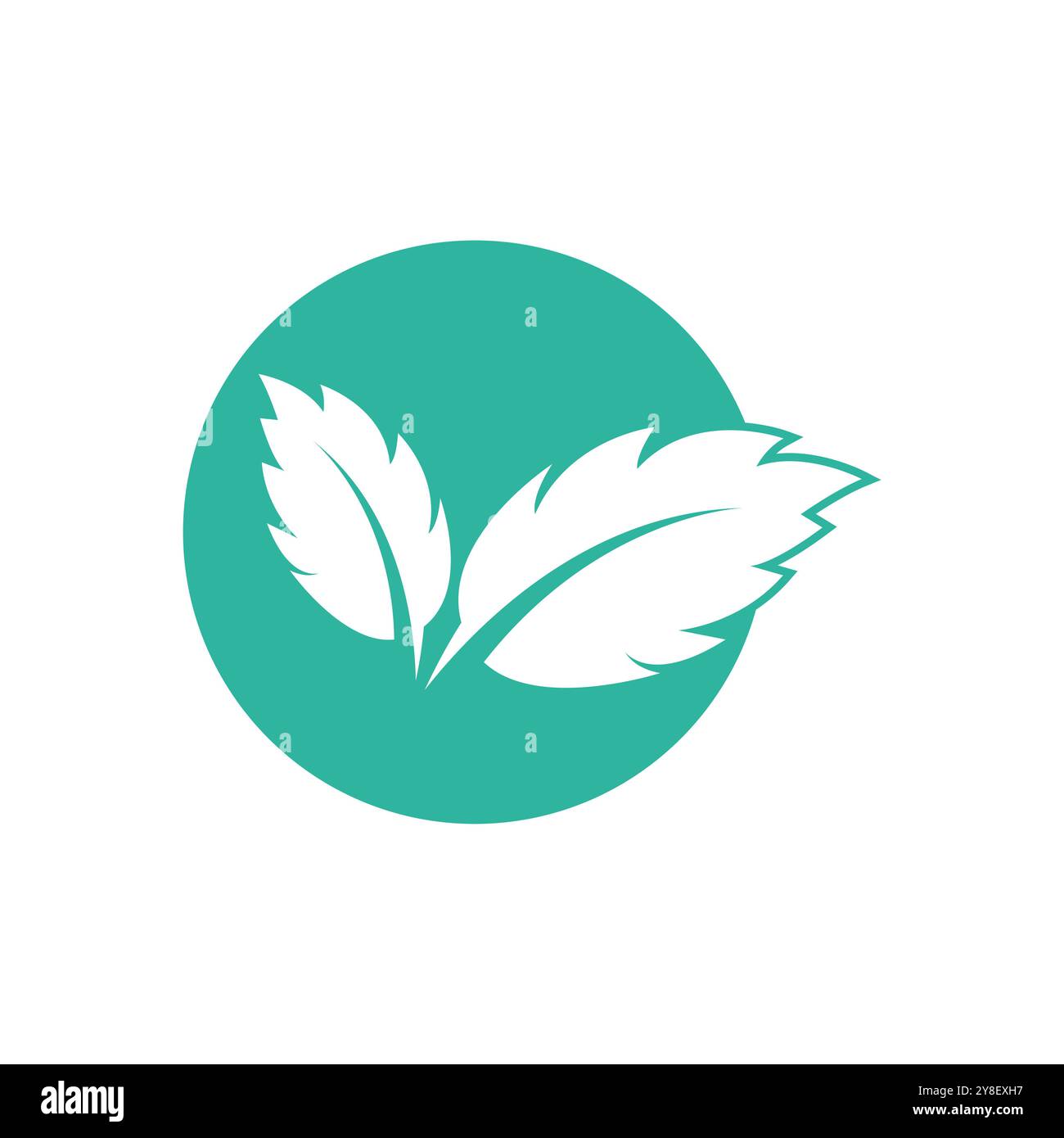 Natural leaf mint logo vector template symbol design Stock Vector Image ...