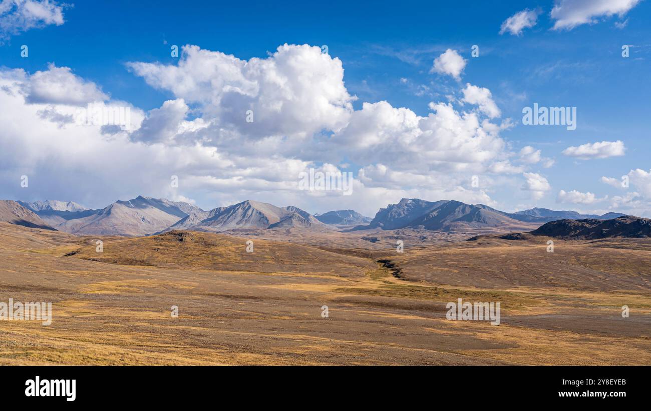 Colorful summer landscape view of high-altitude Deosai Plains, Skardu ...