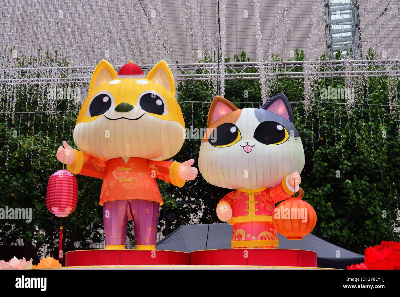 Dog and Cat couple in traditional costume to celebrate Chinese New Year ...