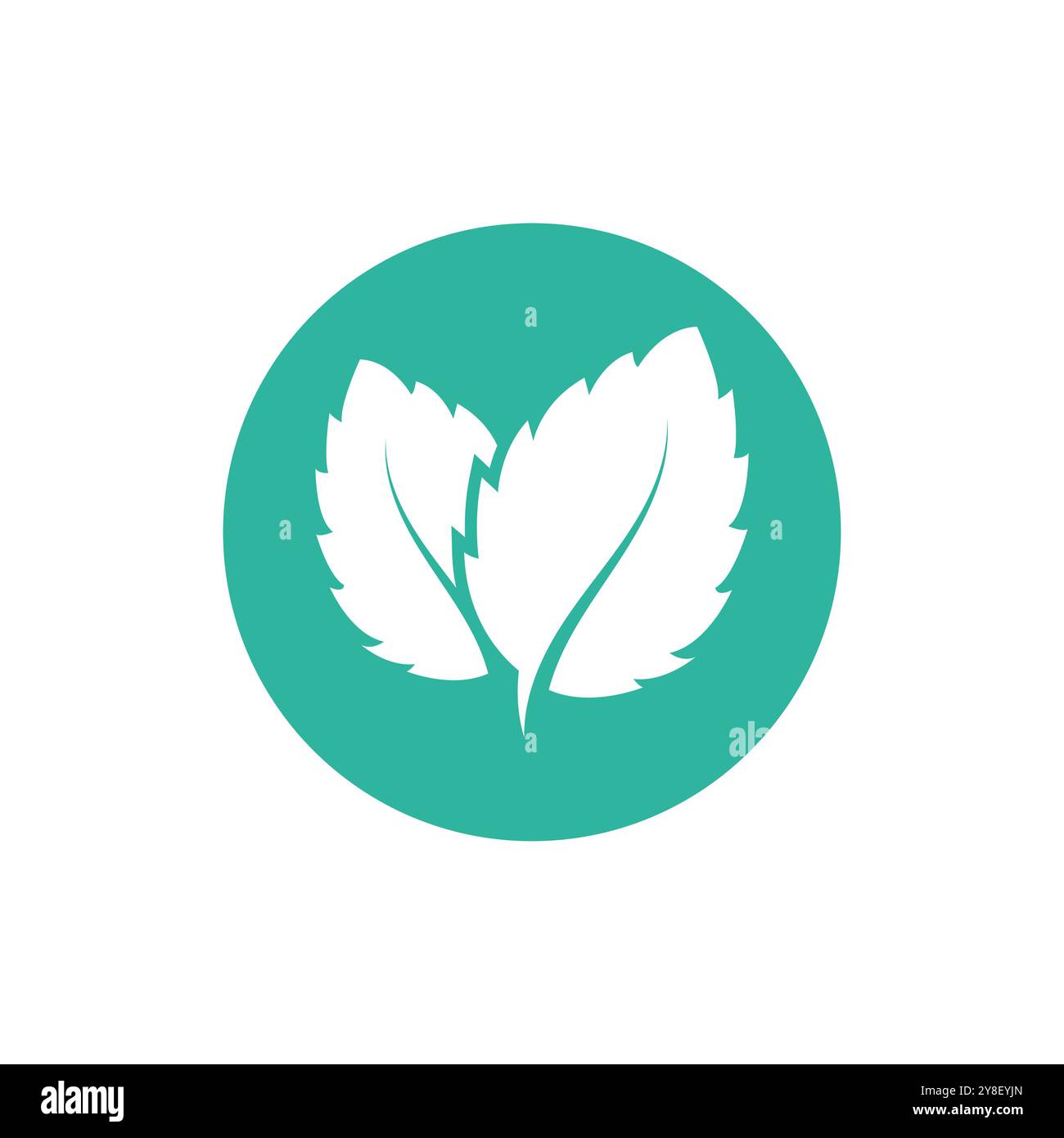 Natural leaf mint logo vector template symbol design Stock Vector Image ...