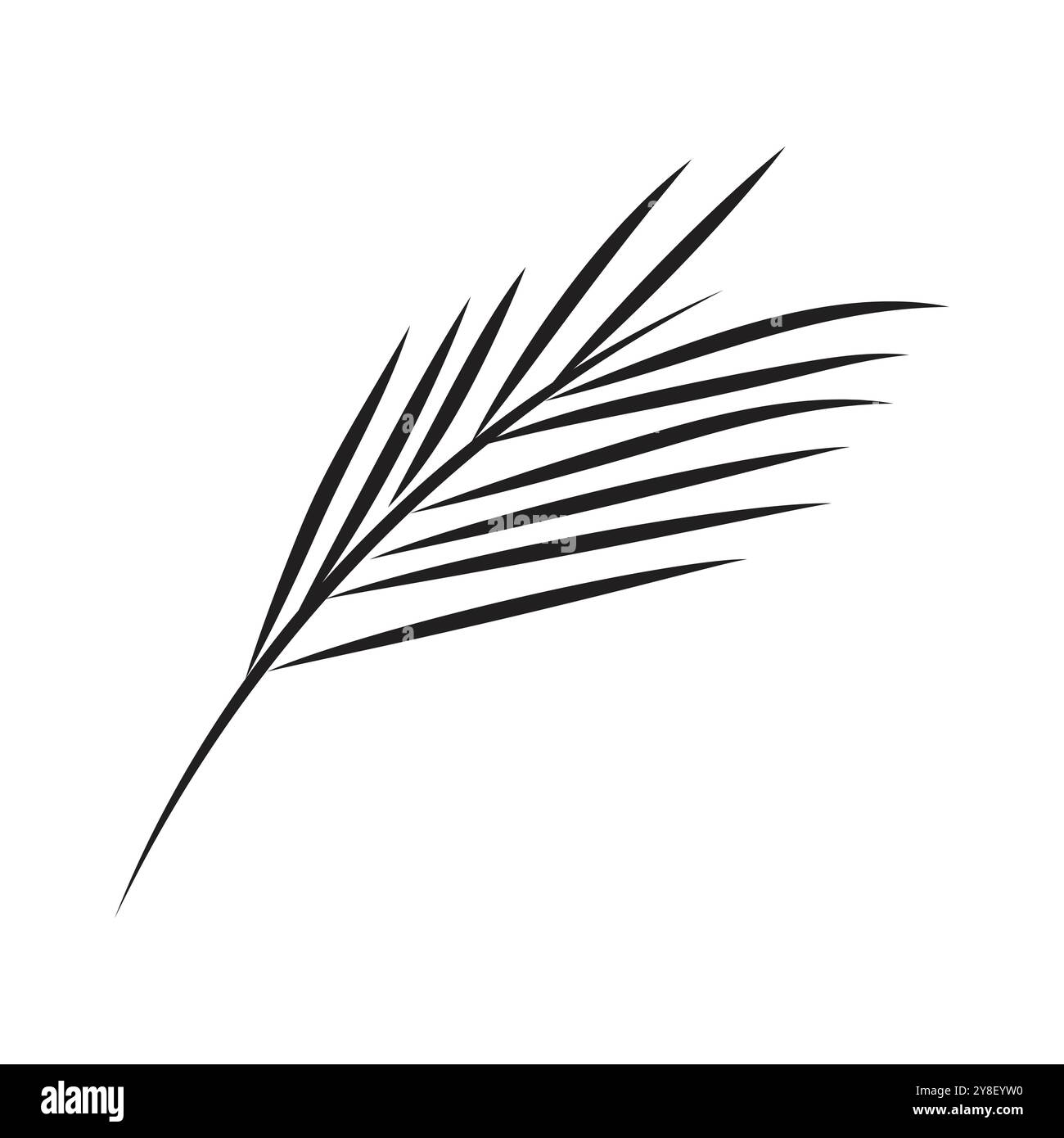 Leaf palm logo vector template symbol and design Stock Vector Image ...