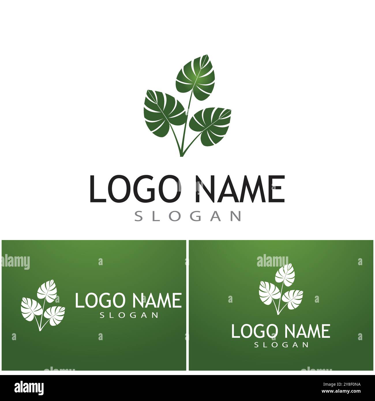 Monstera leaf logo vector design Stock Vector Image & Art - Alamy