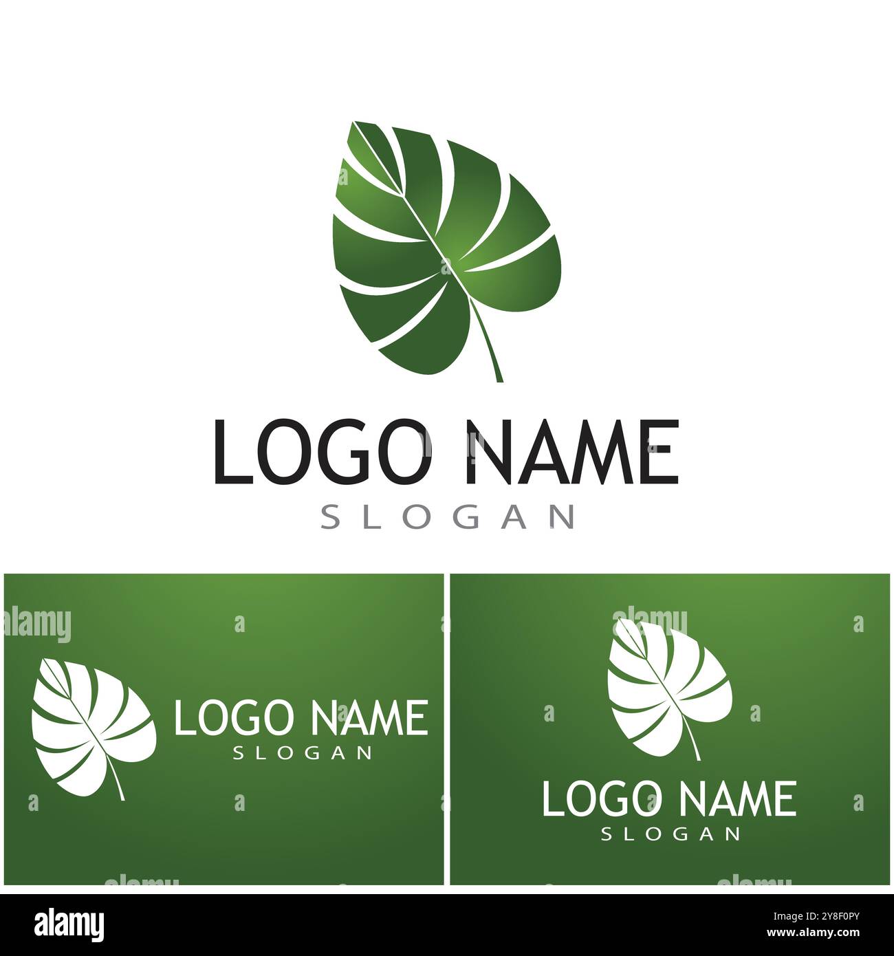 Monstera leaf logo vector design Stock Vector Image & Art - Alamy