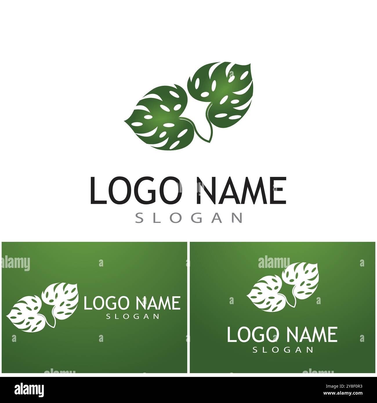 Monstera leaf logo vector design Stock Vector Image & Art - Alamy