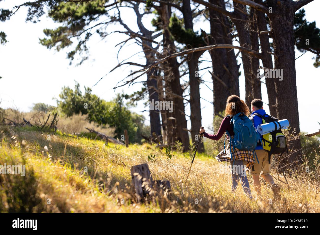 Biracial couple wearing backpacks and hiking in forest Stock Photo - Alamy