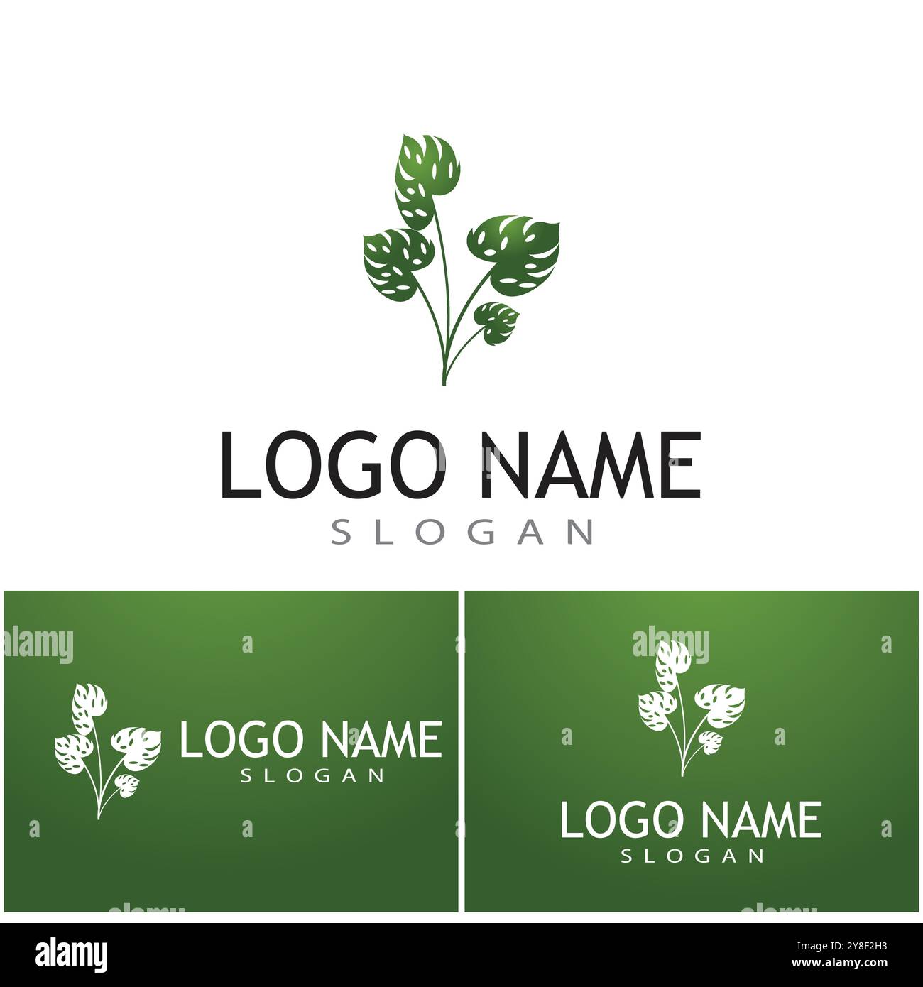 Monstera leaf logo vector design Stock Vector Image & Art - Alamy
