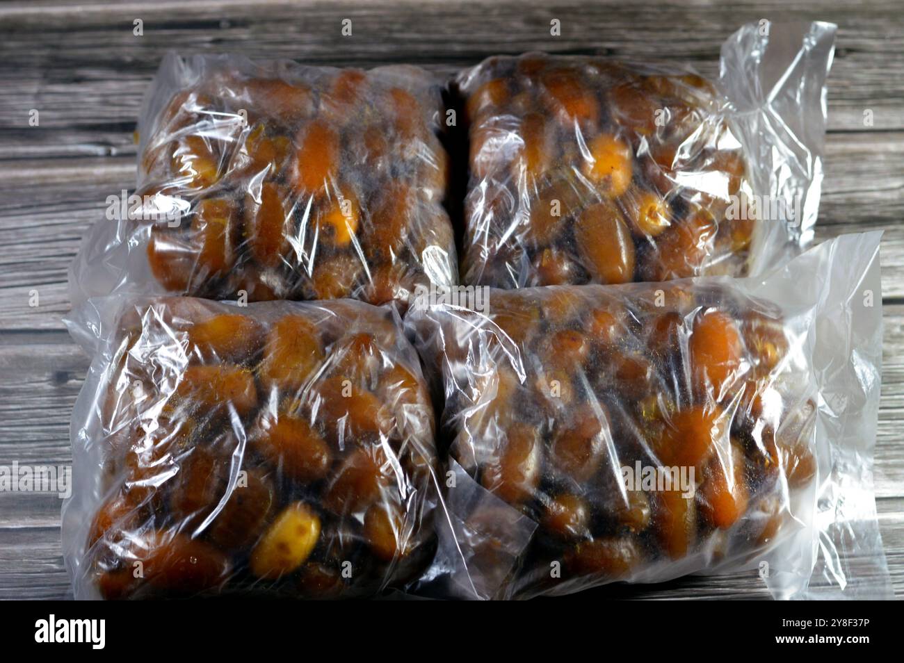 Egyptian amhaat dates fruit ready to be deep frozen, fully mature ...