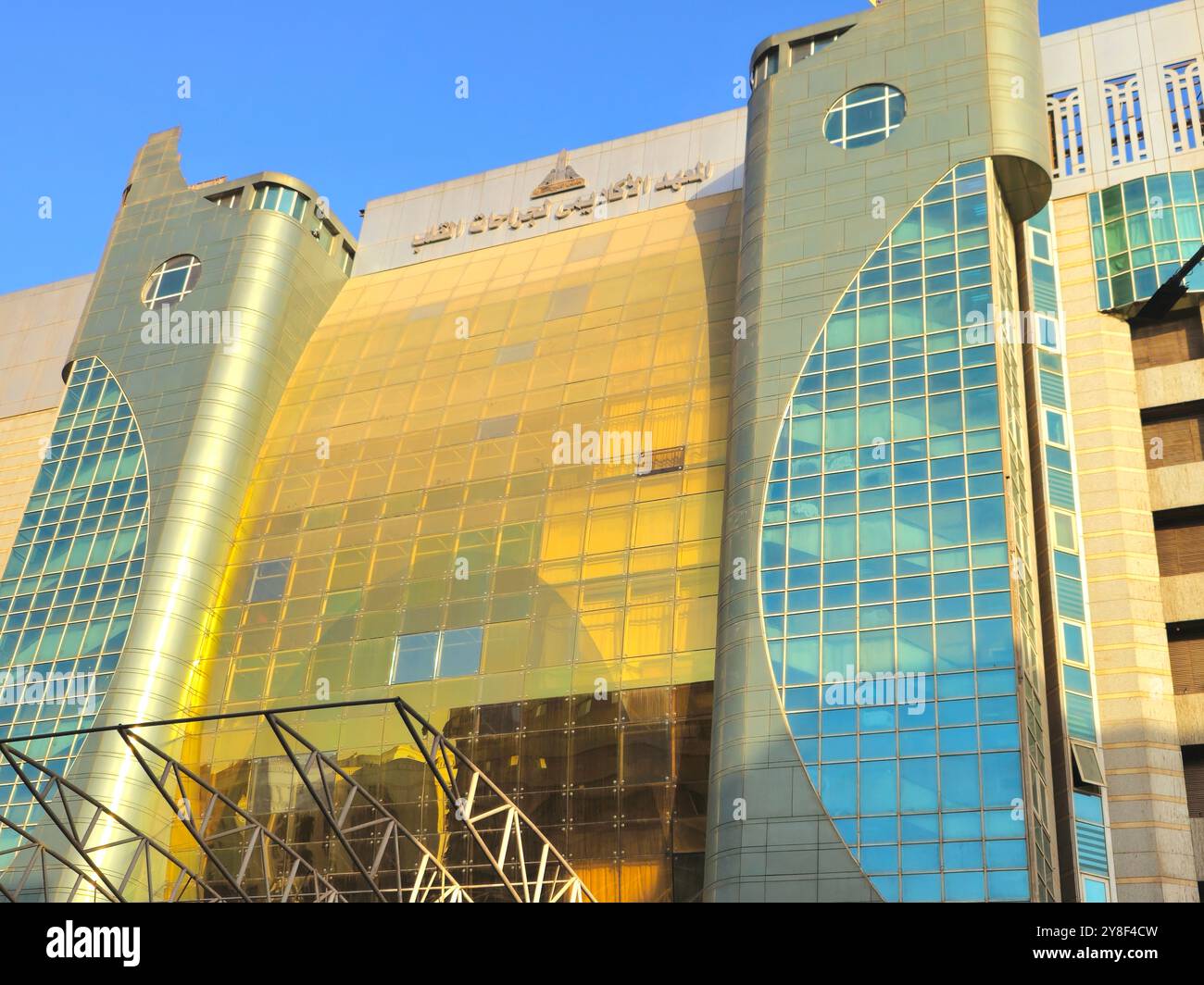 Cairo, Egypt, September 16 2024: The Academic Institute for Heart ...