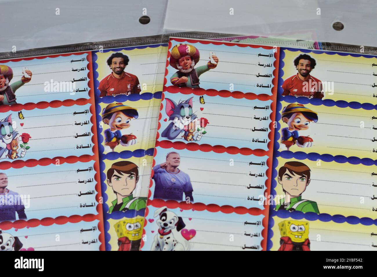 Cairo, Egypt, September 13 2024:Adhesive notebook stickers for kids ...