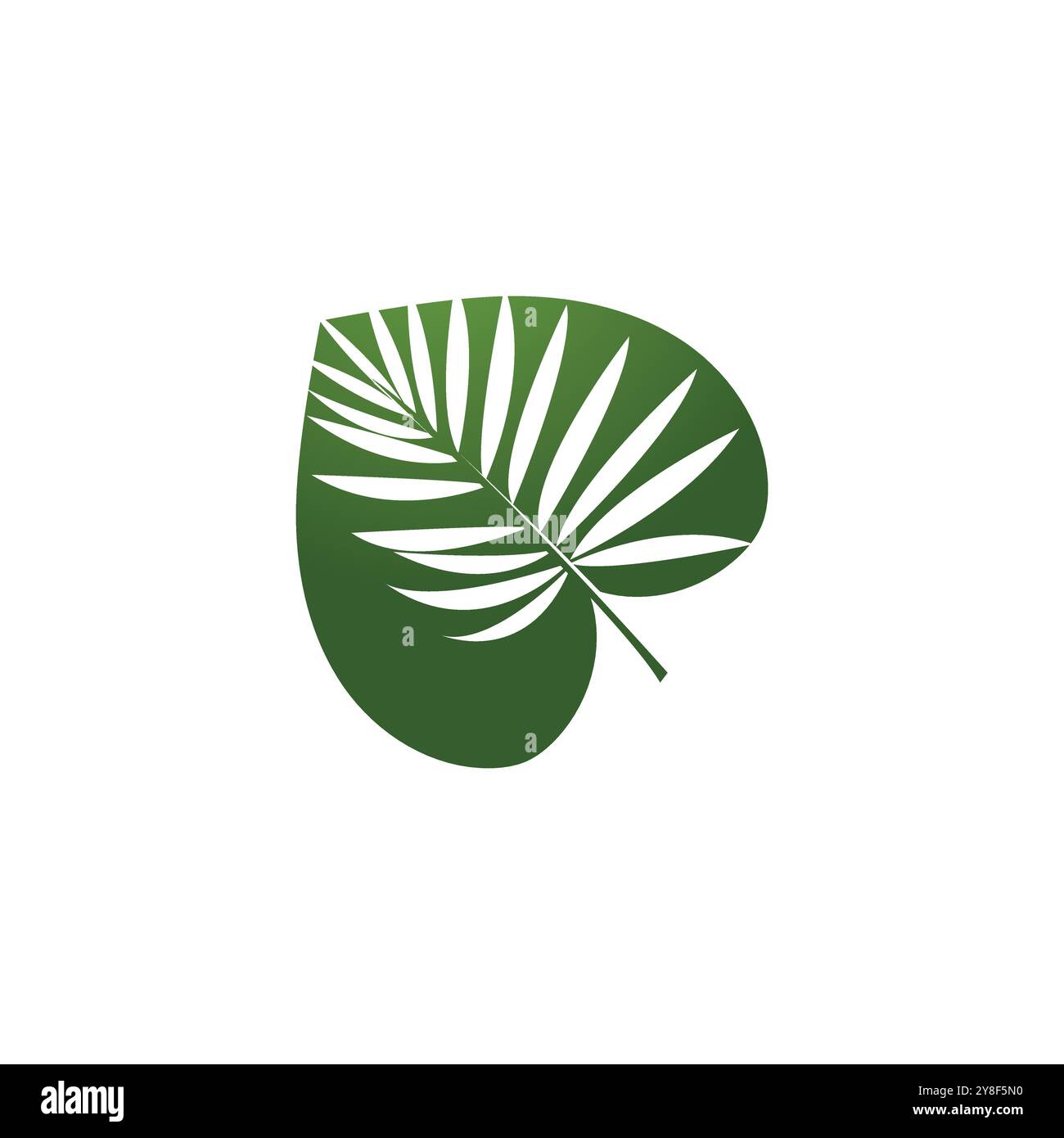 Monstera leaf logo vector design Stock Vector Image & Art - Alamy