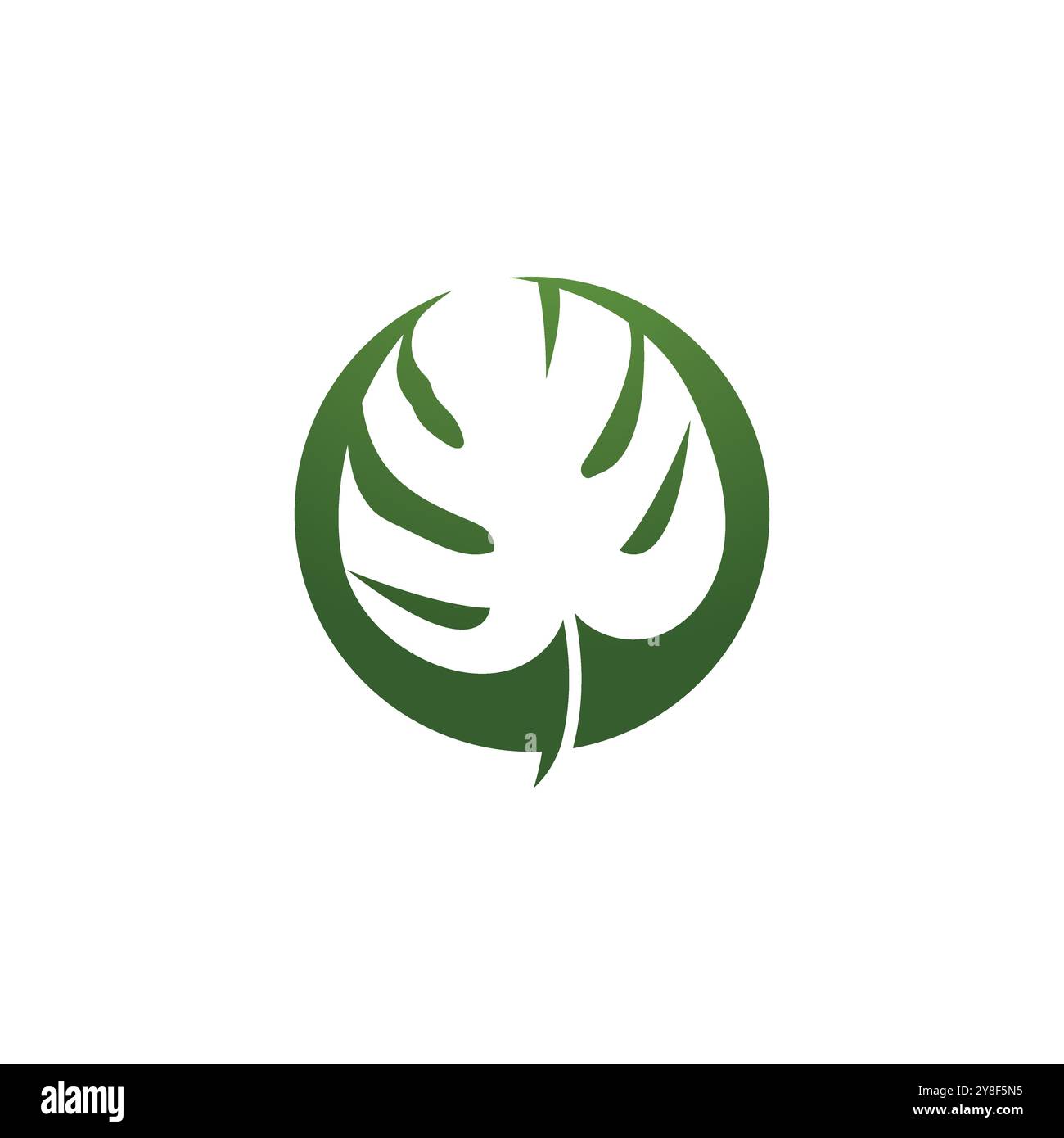 Monstera leaf logo vector design Stock Vector Image & Art - Alamy