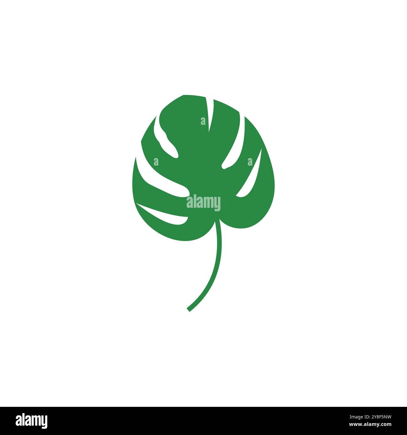 Monstera leaf logo vector design Stock Vector Image & Art - Alamy