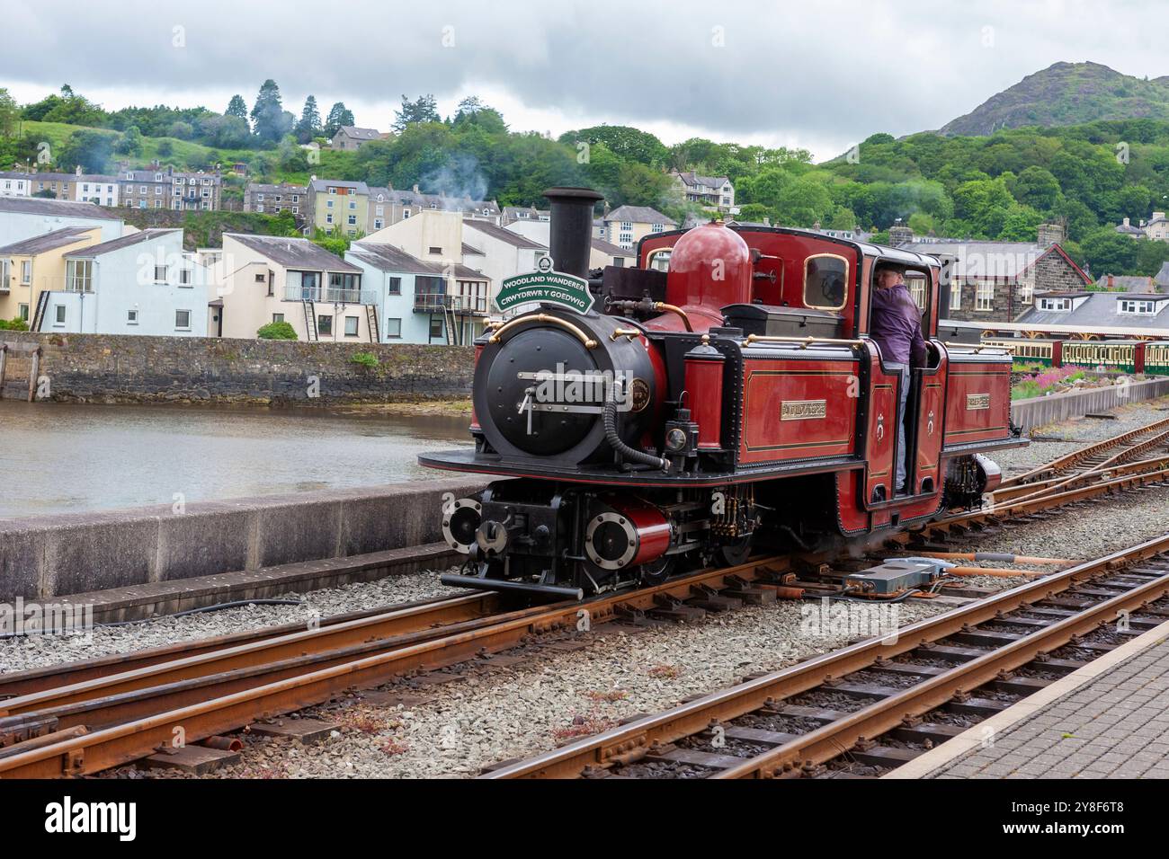 Double Fairlie "David Lloyd George", built in 1992, in steam at ...