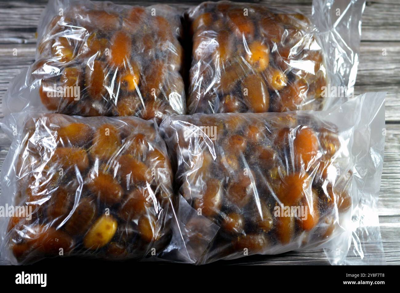 Egyptian amhaat dates fruit ready to be deep frozen, fully mature ...