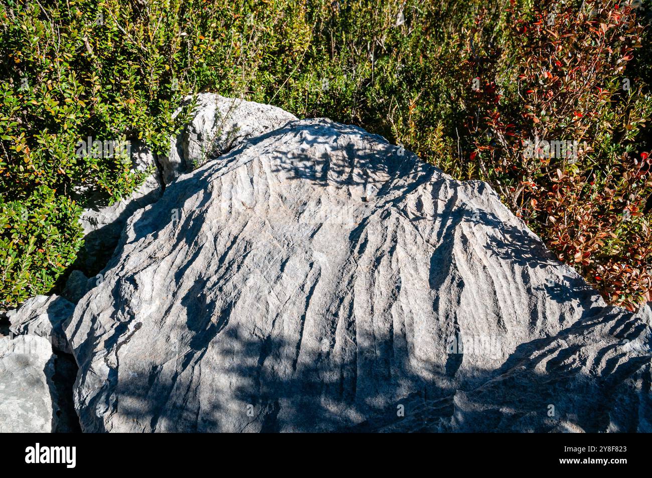erosion marks on the rock, Boumort, Catalonia, Spain Stock Photo - Alamy