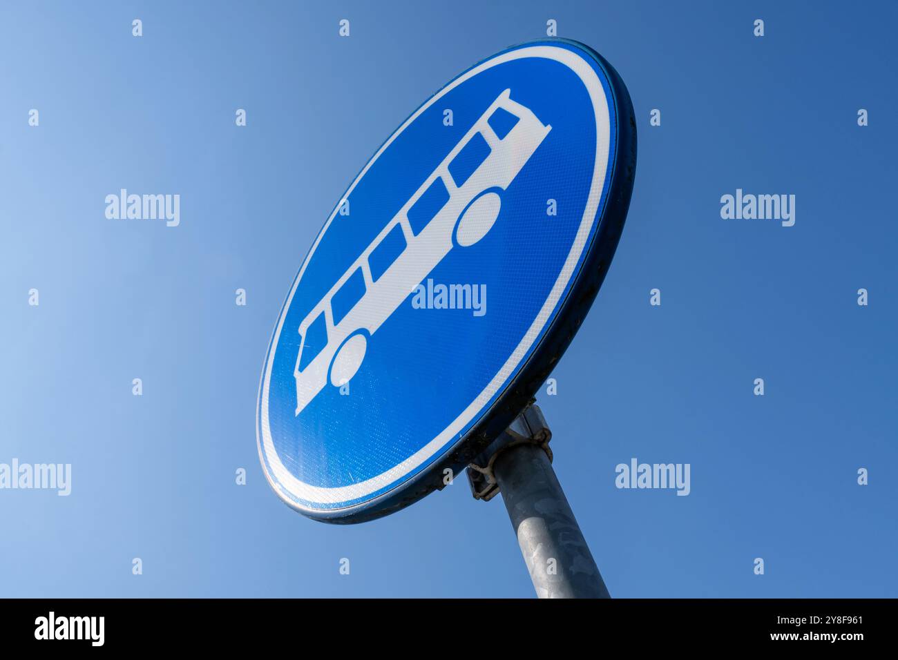 Dutch road sign: bus lane Stock Photo - Alamy