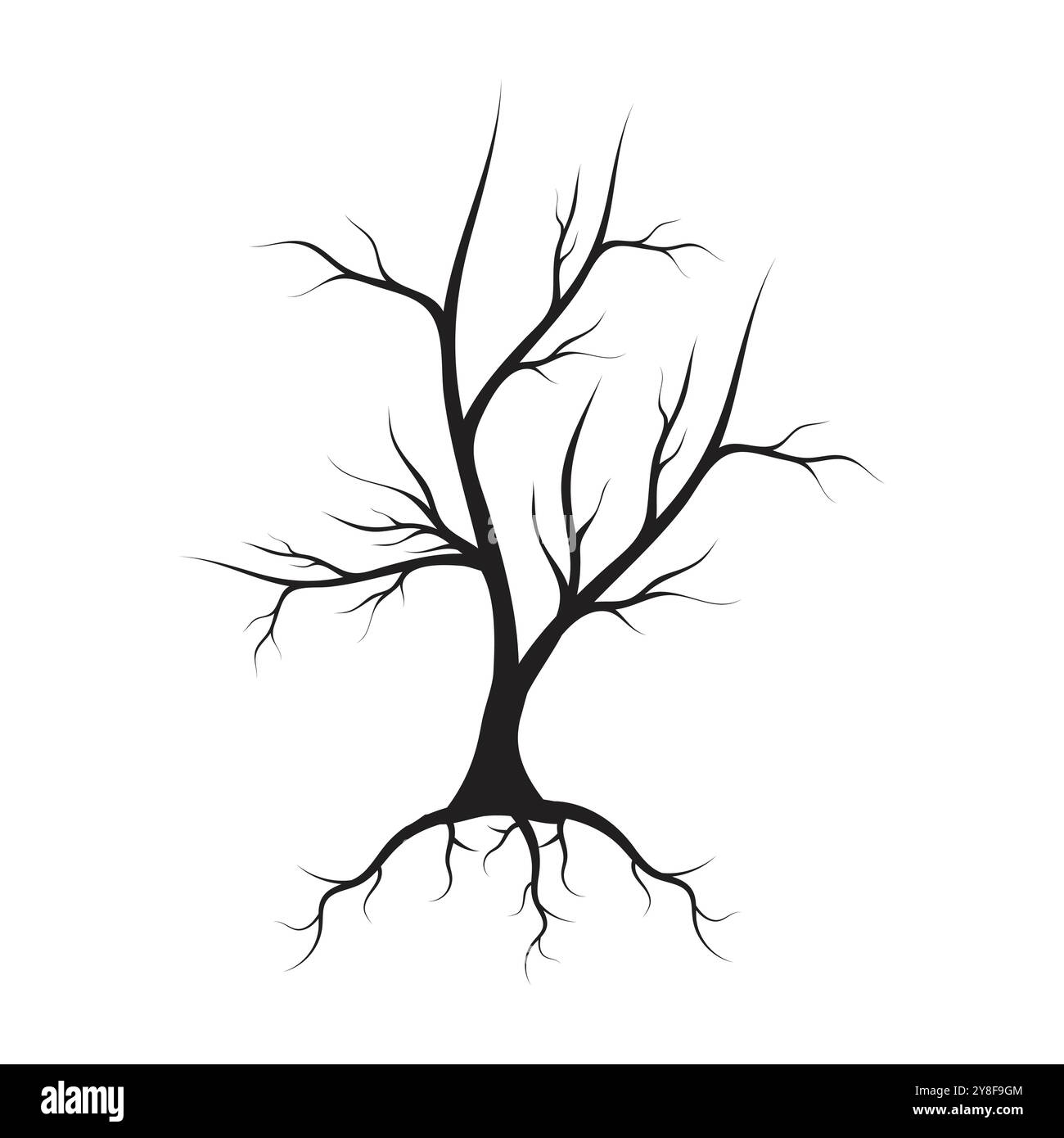 branch tree vector illustration summer clipart autumn clipart nature ...